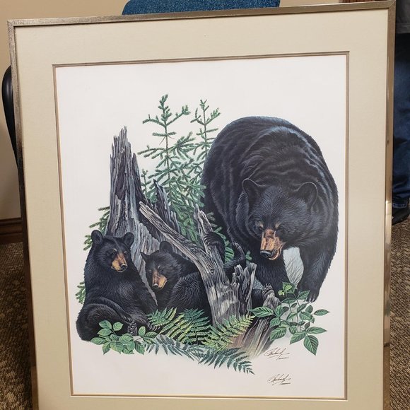 Richard Timm | Wall Decor | Richard Timm Prints Mammals Of North ...